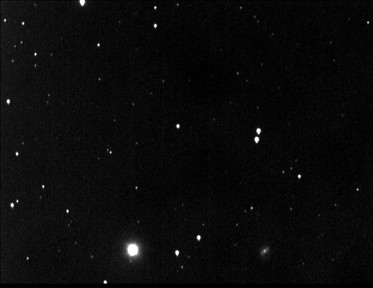 M40